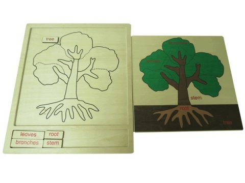 Botany Puzzle Activity Set - Tree - Quality Educational Material | Kid ...