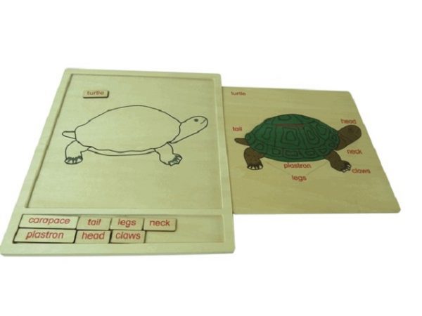Animal Puzzle Activity Set - Turtle - Quality Educational Material ...