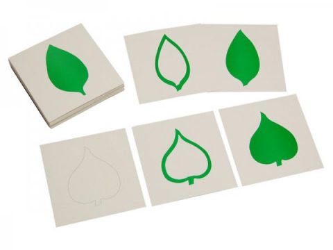 Leaf Cards - Quality Educational Material | Kid-ease | Montessori ...