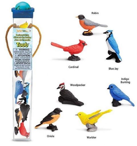 Backyard Birds TOOB® - Quality Educational Material | Kid-ease ...
